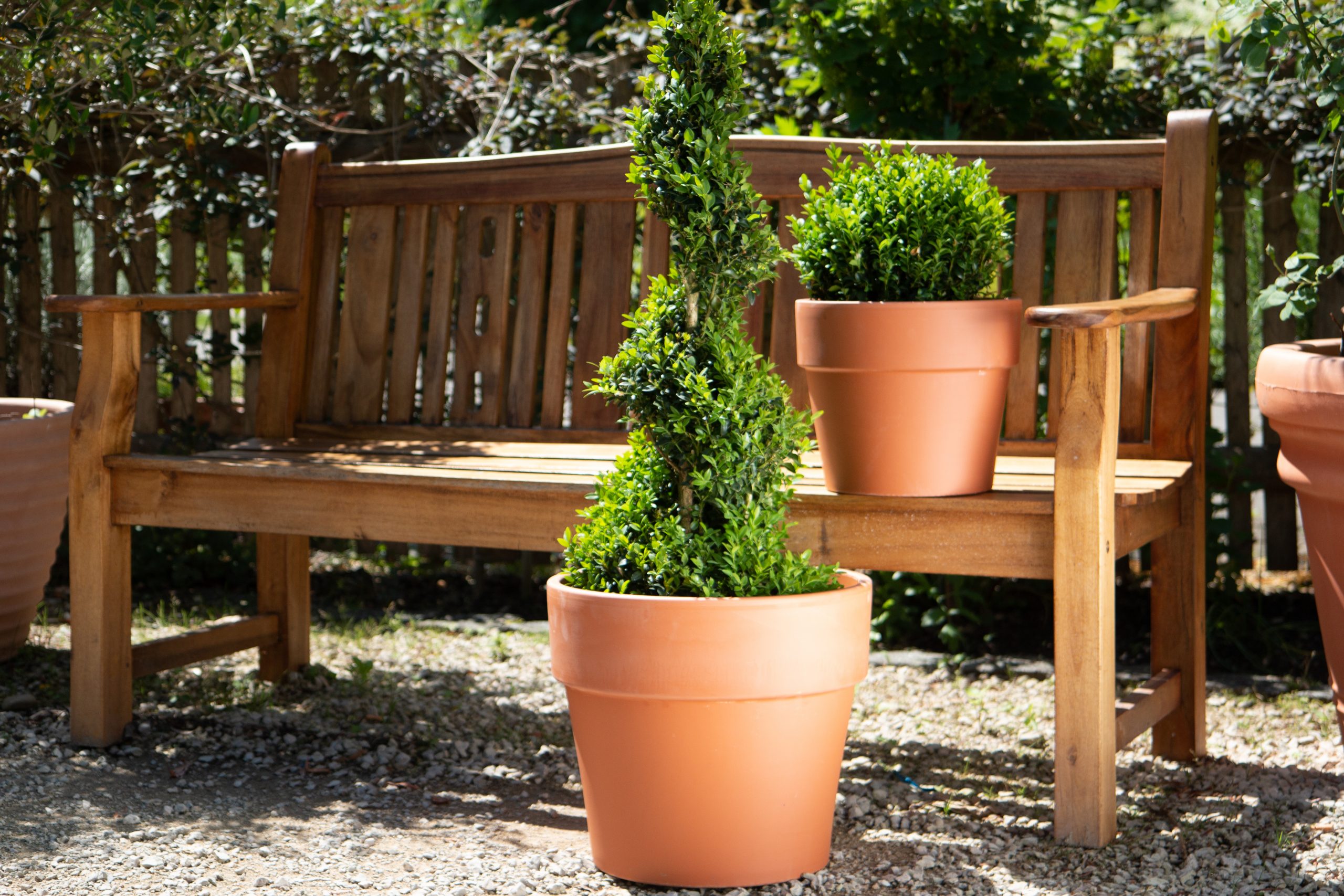 Calima Pot - Classic Pot Emporium