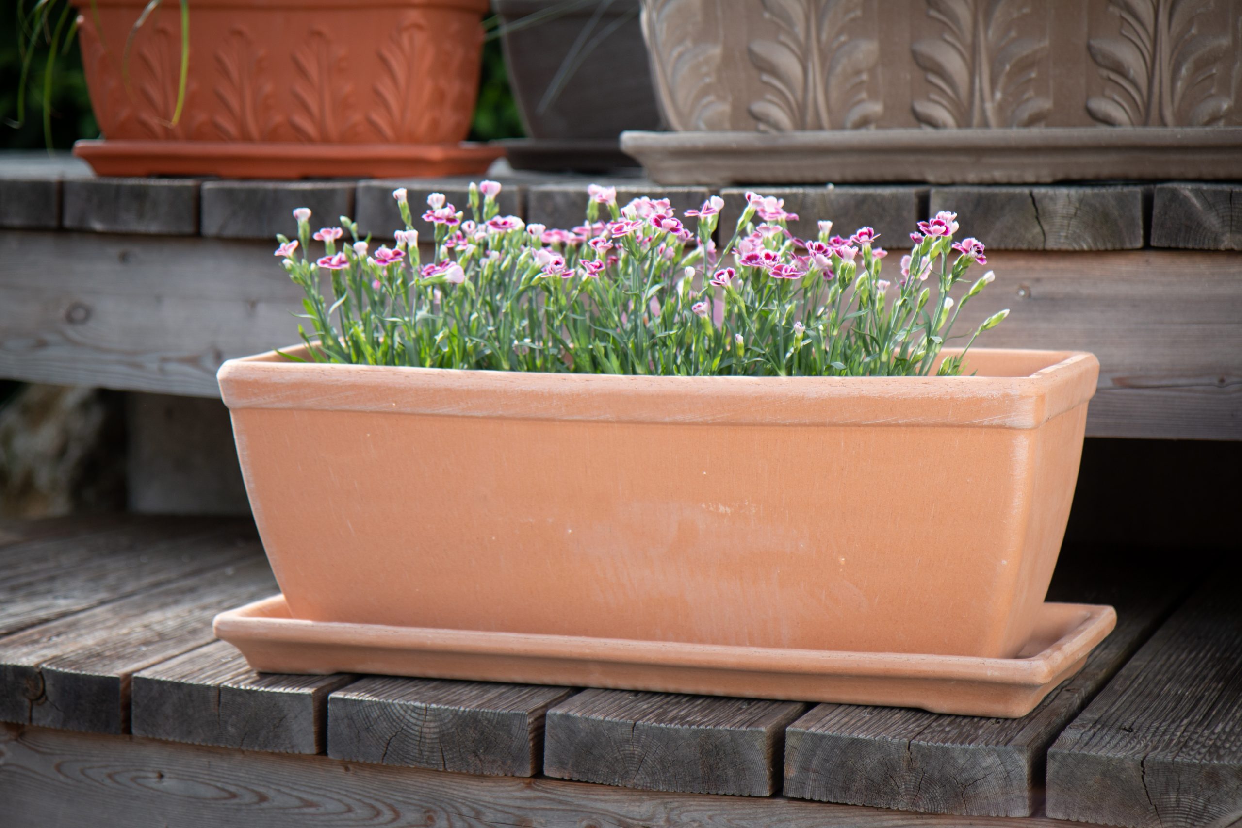 Plain Trough Antique - Classic Pot Emporium